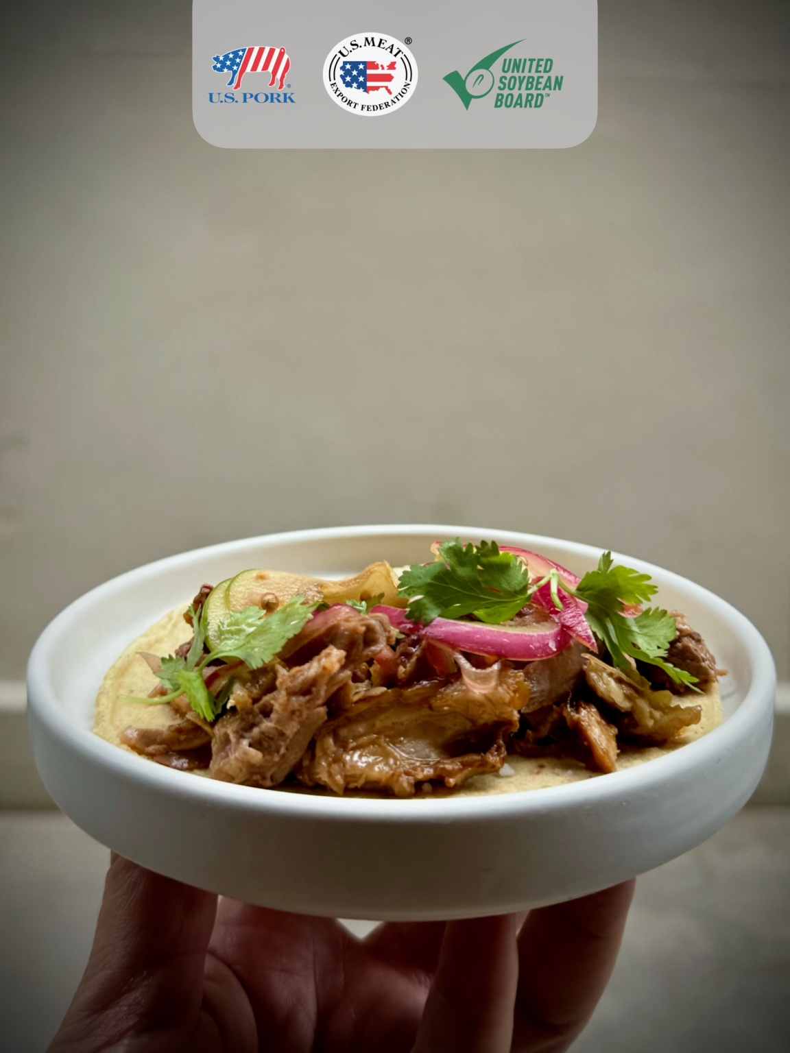 ¿Chamorros o codillo? – Portal CANIRAC